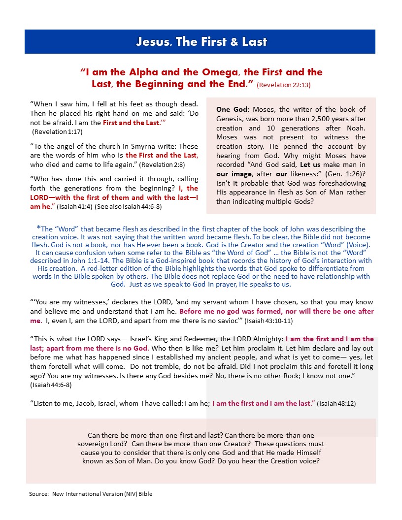 Jesus, The First & Last – The Rogue Prophet