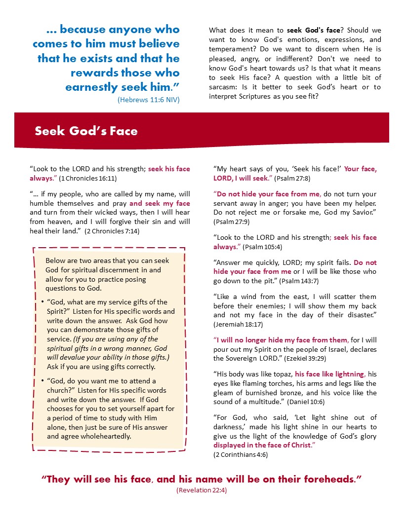 Seek God’s Face – The Rogue Prophet