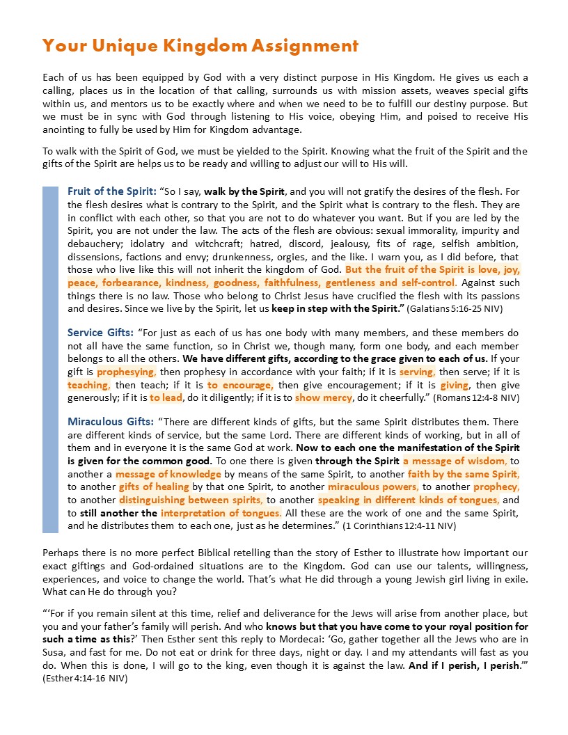 Kingdom Assignment – The Rogue Prophet